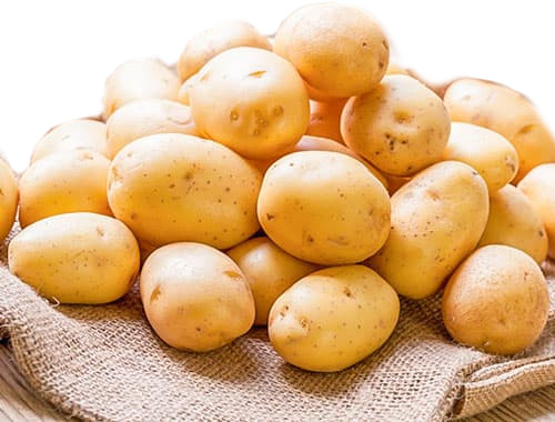 Burgonya : Burgonya vetőgumó carrera (2,5 kg)